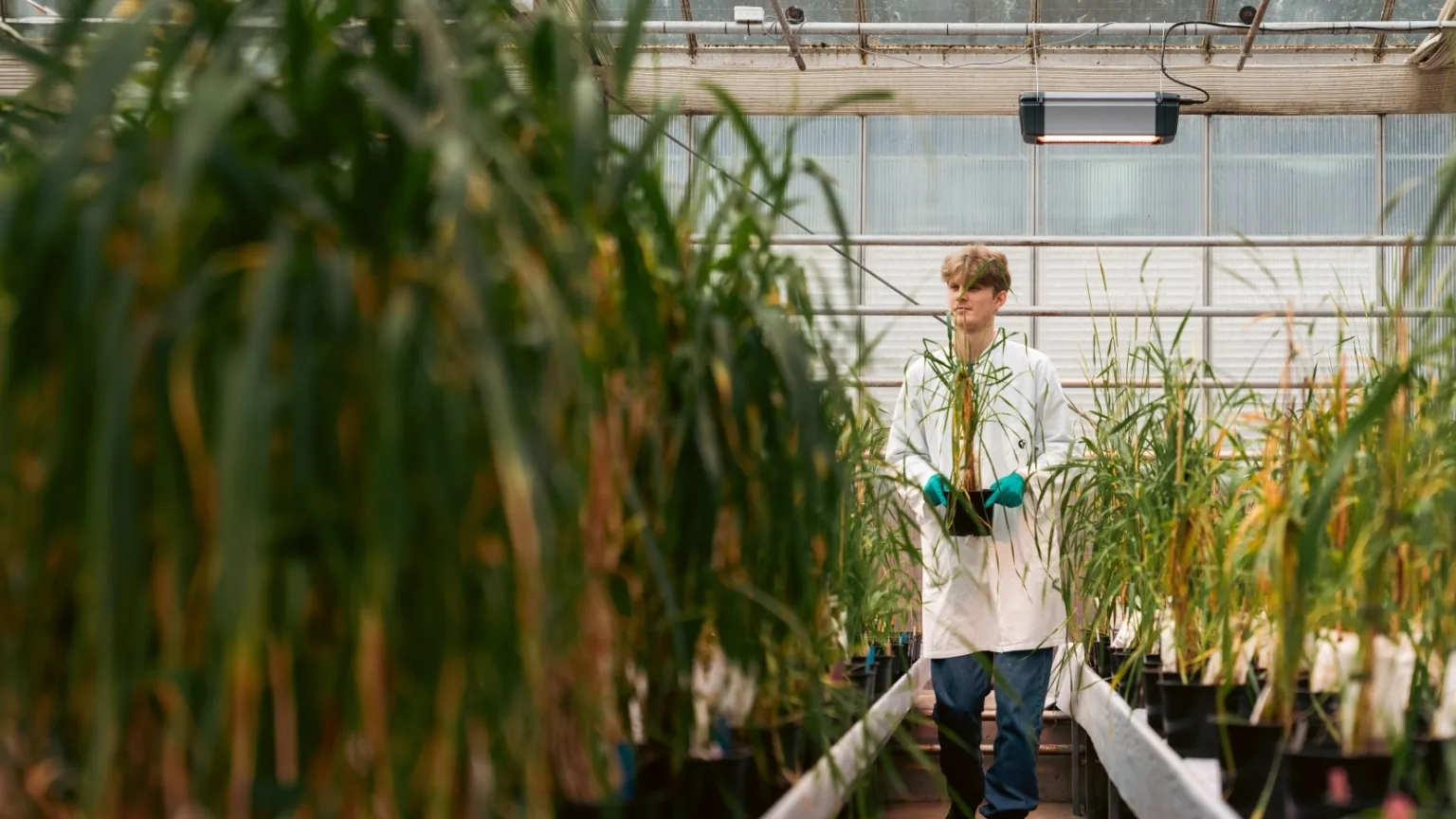 Brewing Tomorrow: The Key Actions Behind Carlsberg’s Strengthened ESG ...