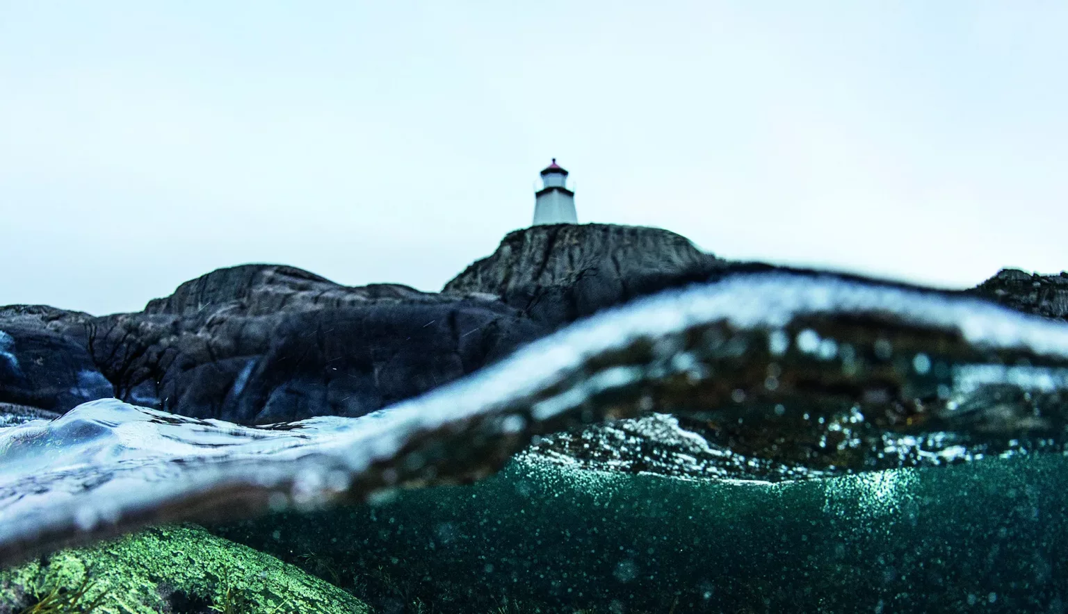 Salmon Evolution : Extending Ocean Potential